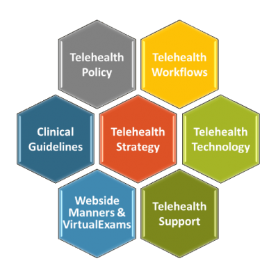 The 7 Levels of Telehealth Training - Ingenium Digital Health Advisors